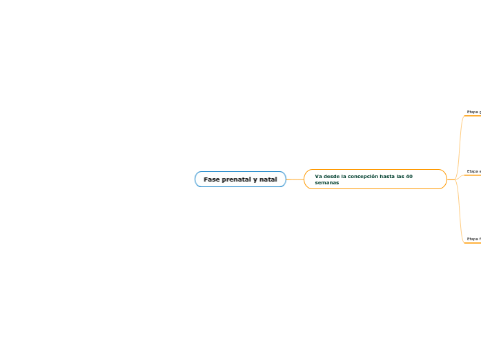 Fase prenatal y natal - Mind Map